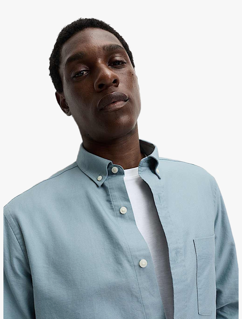 Pure Cotton Ultimate Oxford Shirt